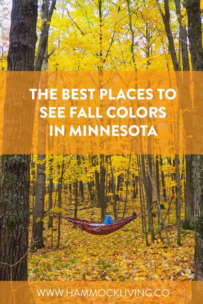 The 7 Best Places to See Fall Colors in Minnesota – HammockLiving