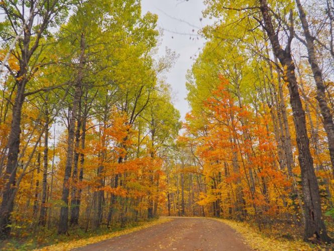 The 7 Best Places to See Fall Colors in Minnesota – HammockLiving