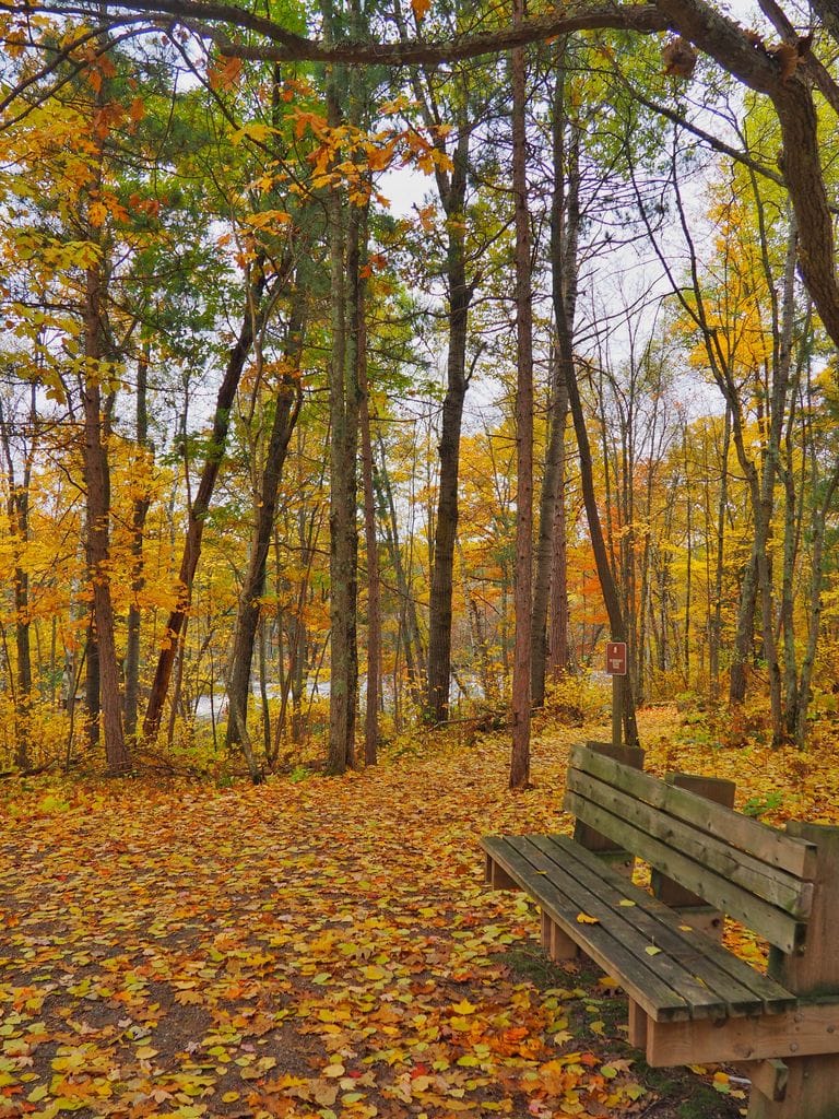 The 7 Best Places to See Fall Colors in Minnesota – HammockLiving
