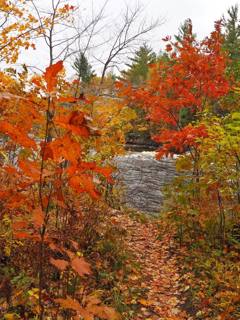 The 7 Best Places to See Fall Colors in Minnesota – HammockLiving