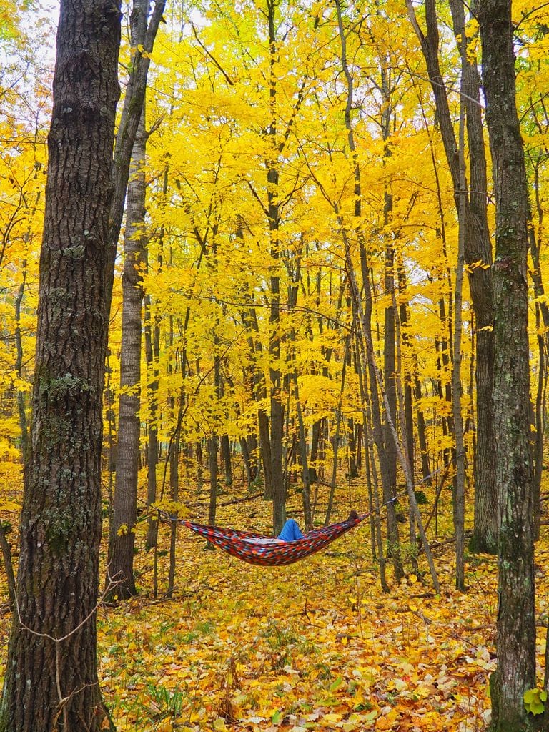 The 7 Best Places to See Fall Colors in Minnesota – HammockLiving