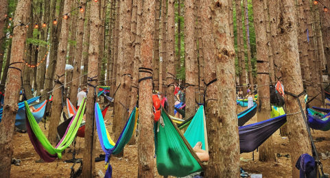 HammockLiving – adventures in extreme relaxation