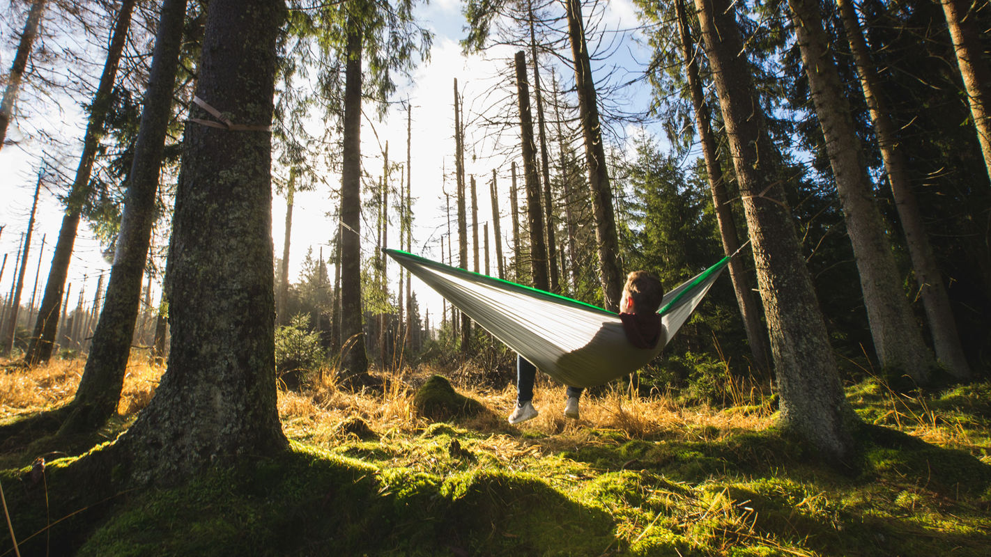 HammockLiving – adventures in extreme relaxation